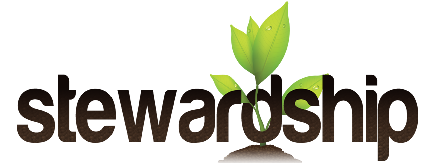 What You Need to Know about Church Stewardship Campaigns ...
